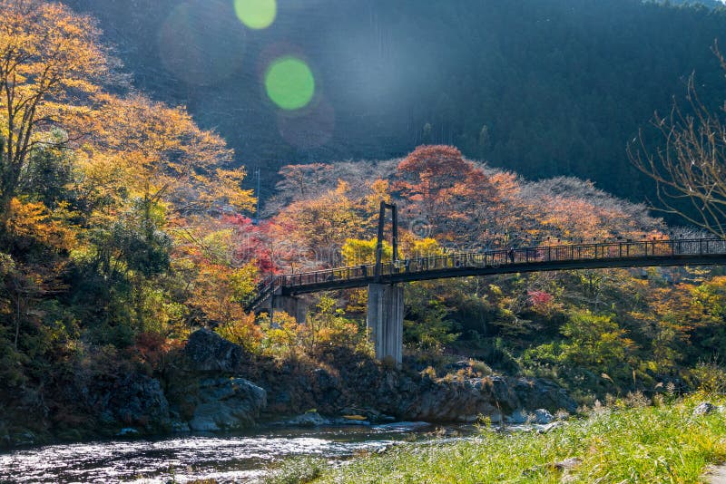 Mitake Town and Tama River in Autumn Season. Stock Image - Image of ...