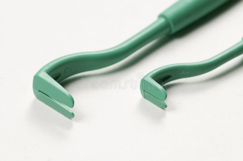 Mite extractor tool stock photo. Image of arthropod, insect - 90783348