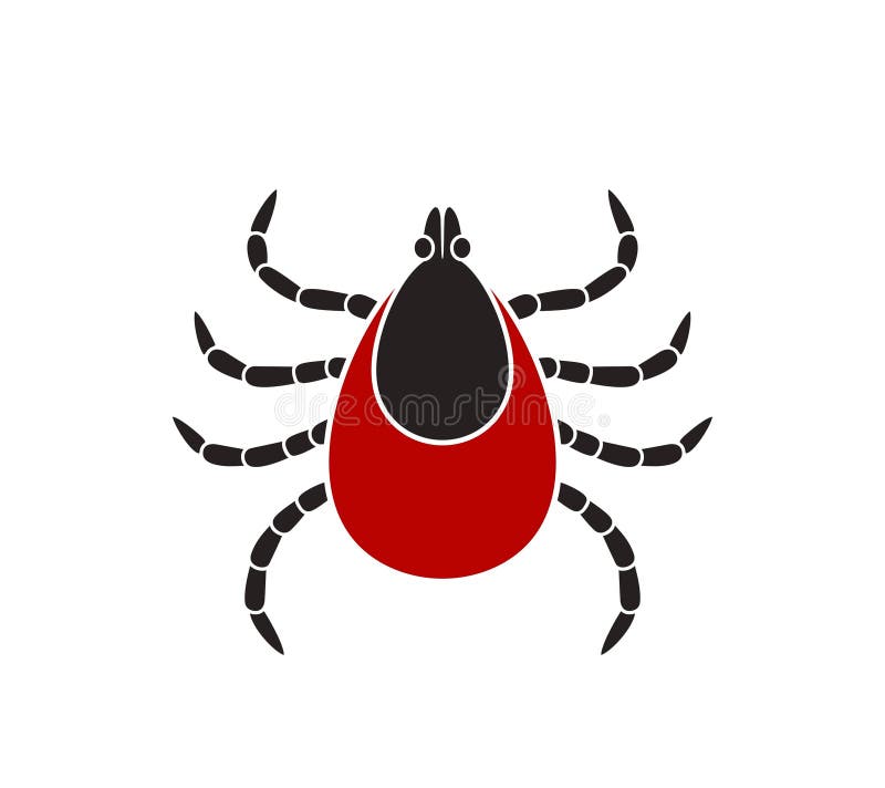 Forest Mite Stock Illustrations – 300 Forest Mite Stock Illustrations ...