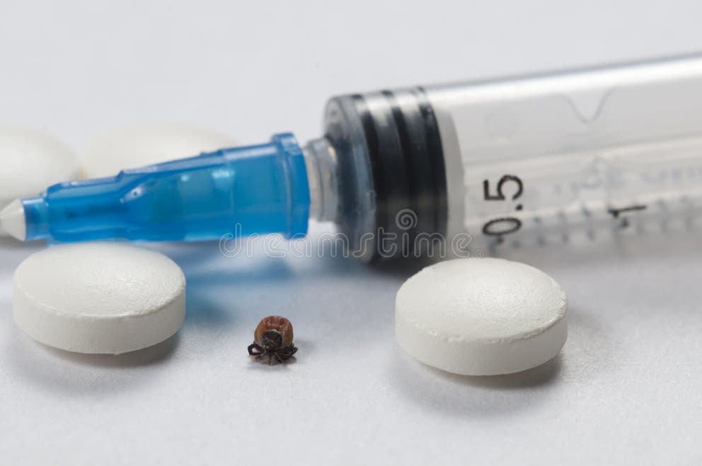 Mite, tablets and syringe stock photo. Image of closeup - 90920846