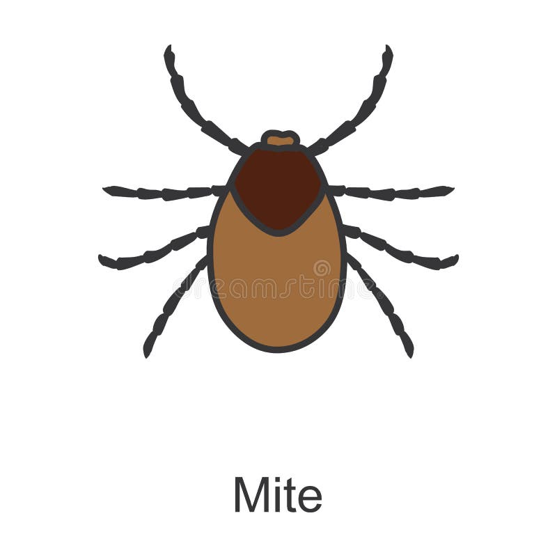 Mite Vector Icon.Color Vector Icon Isolated on White Background Mite Stock Vector - Illustration ...