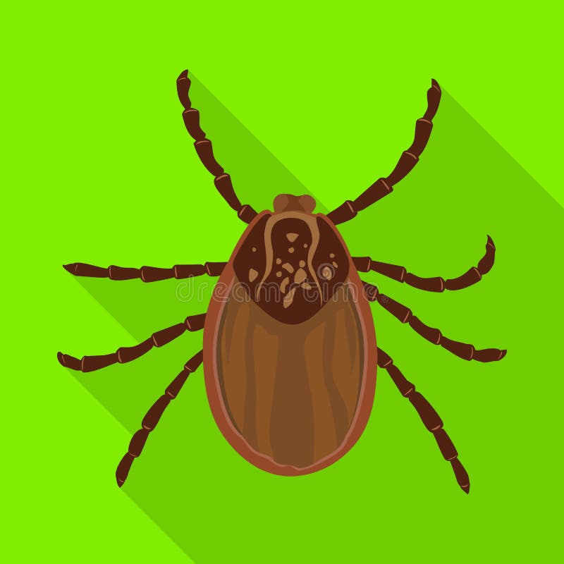 Mites Icon Stock Illustrations – 411 Mites Icon Stock Illustrations ...