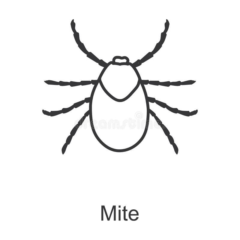 Mites Icon Stock Illustrations – 389 Mites Icon Stock Illustrations ...