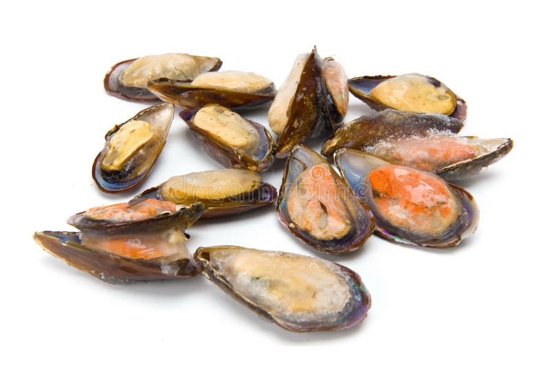 Mitili immagine stock. Immagine di mitili, marrone, fresco - 15270779