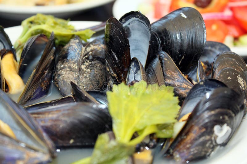 Zuppa di cozze fotografia stock. Immagine di molluschi - 6342986