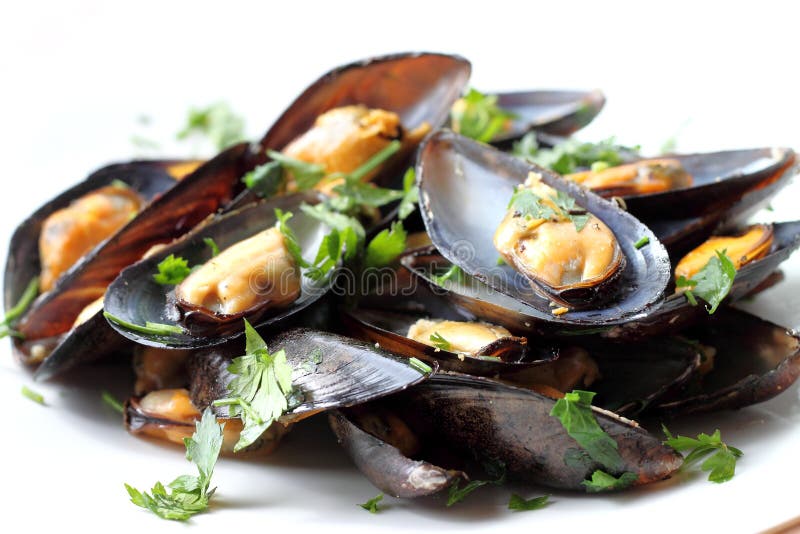Mitili del mare immagine stock. Immagine di preparato - 20346519