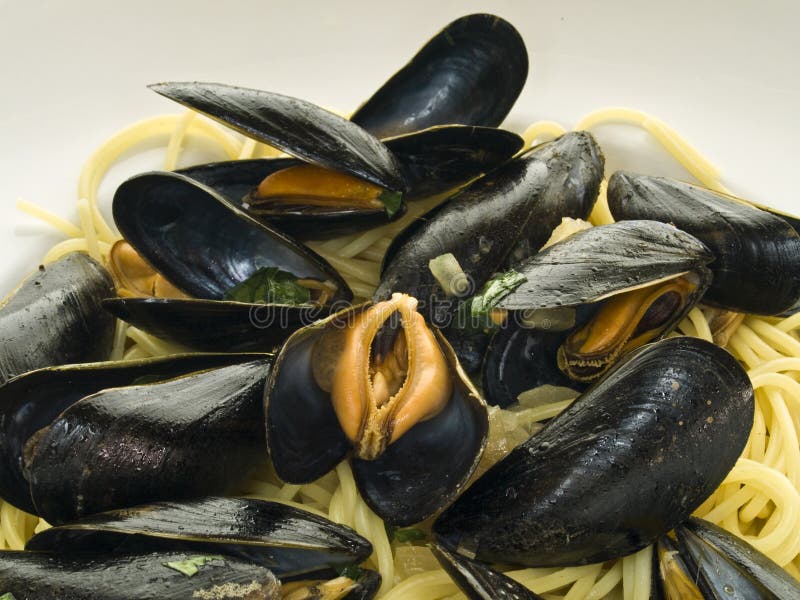 Mitili fotografia stock. Immagine di molluschi, mare, piastra - 4933432