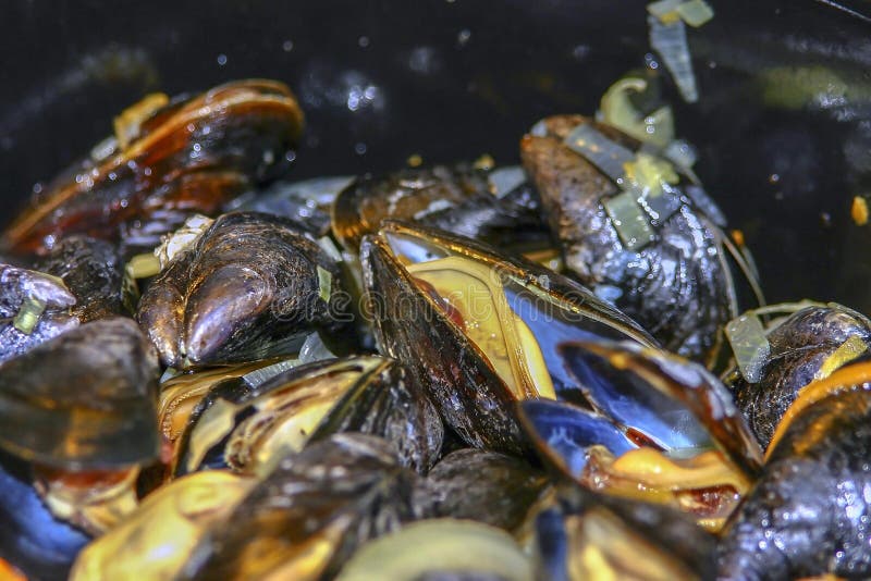 Mitili fotografia stock. Immagine di mangi, crostacei - 45600812