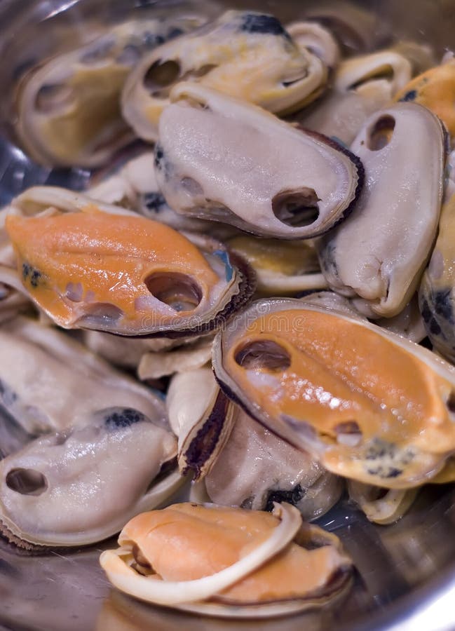 Mitili in ciotola immagine stock. Immagine di seafood - 3976687