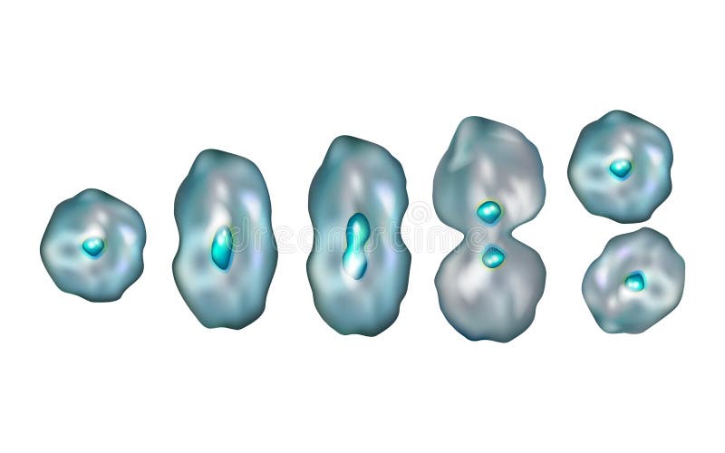 Faserna Stock Illustrationer, Vektorer, & Clipart – (140 Stock ...