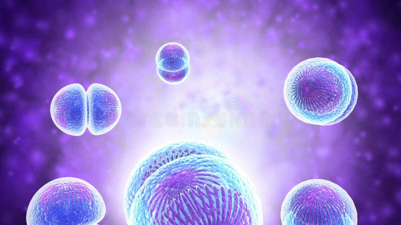 Mitosis, cell division stock video. Video of genetic - 318894235