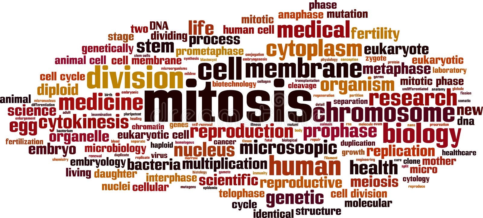 Mitosis Word Stock Illustrations – 19 Mitosis Word Stock Illustrations ...