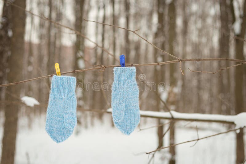 Mittens Hanging by a Thread Stock Photo - Image of kids, branch: 65899522