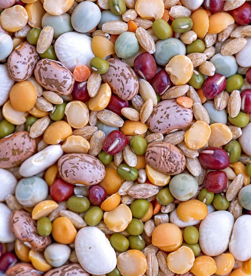 Mix bean stock image. Image of food, fiber, garden, beans - 11888891