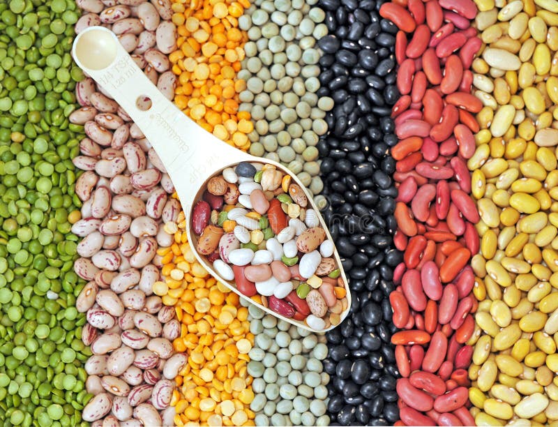 Mix of bean stock image. Image of agriculture, pile, nutrient - 28910341