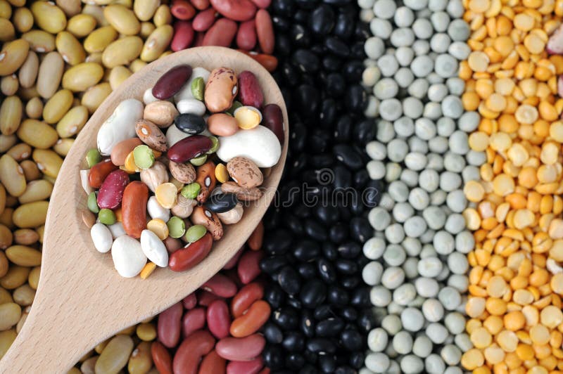 Different beans stock photo. Image of uncooked, white - 23289432