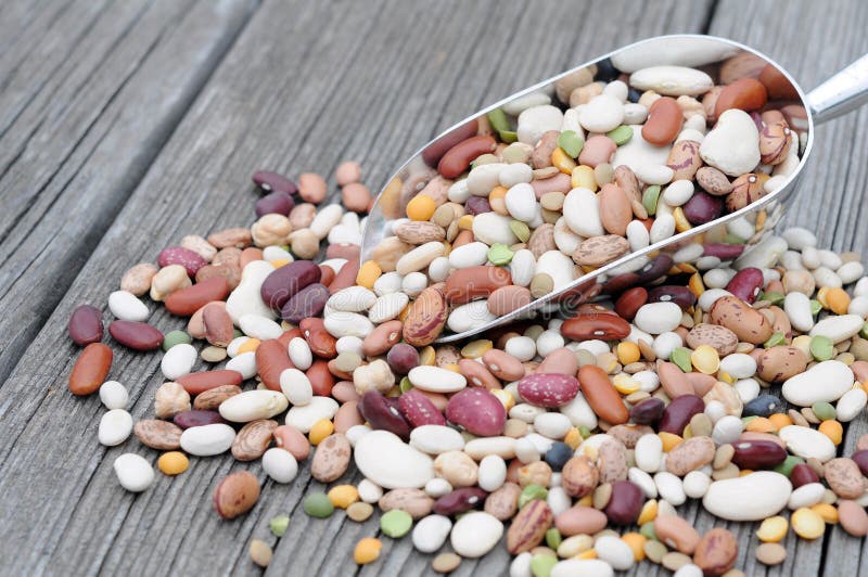 Mix of beans stock image. Image of ingredient, mame, food - 31337107