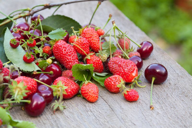 Mix of berries stock image. Image of collection, healthy - 89024911
