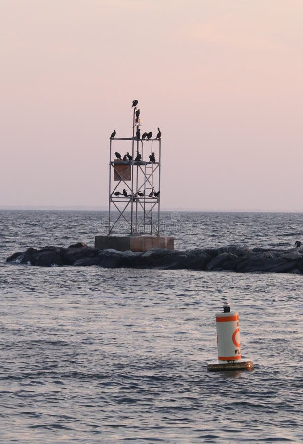 Birds of a Feather Sitting on a Beacon at the End of a Rock Jetty at ...
