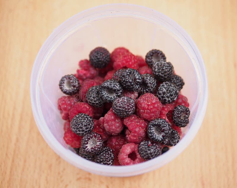 Ripe black and red berries stock photo. Image of fresh - 152701204