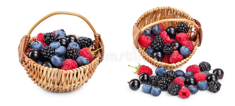 Mix of Blackberry Blueberry Raspberry Black Currant in Wicker Basket ...