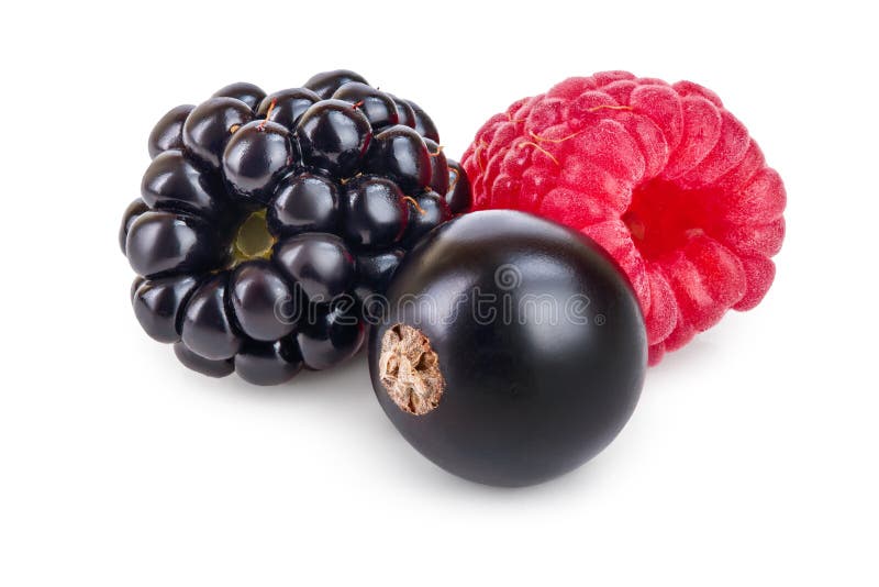 Mix of Blackberry Raspberry Black Currant Isolated on White Background ...