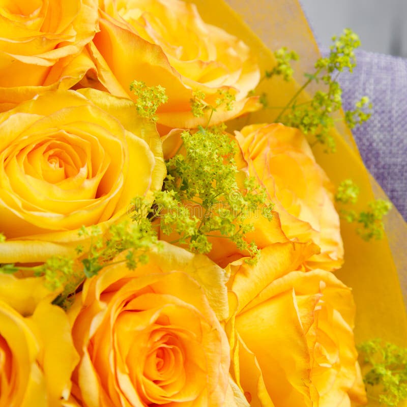 Mix Bouquet of Yellow and Orange Roses Stock Photo - Image of peach ...