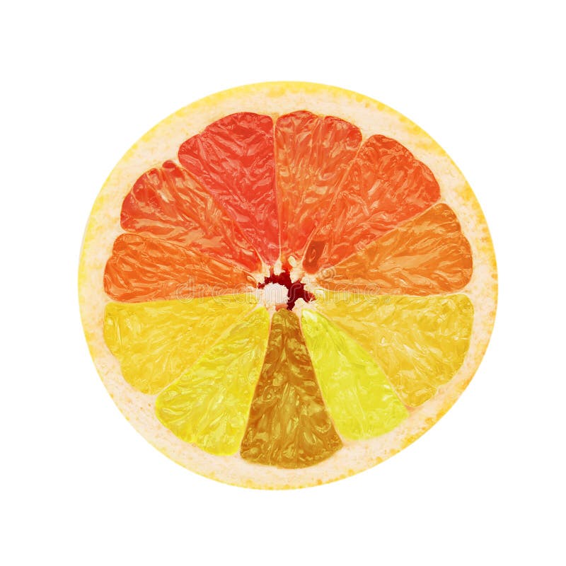 Different citrus stock photo. Image of color, fresh - 173822872