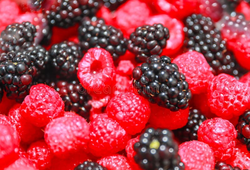 Mix of Different Delicious Berries Stock Photo - Image of glasses ...