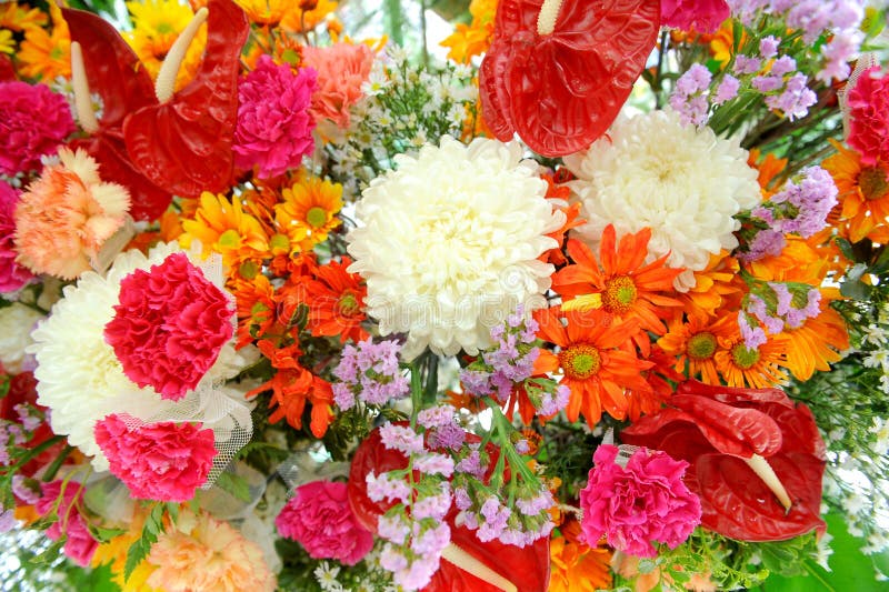 Mix of different flowers stock image. Image of garden - 22601427