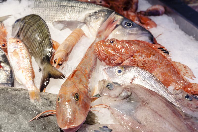 Fish fresh mix stock image. Image of fish, mediterranean - 184591627