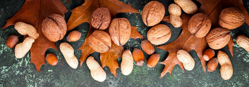 Sitte Designe Stock Photos - Free & Royalty-Free Stock Photos from ...