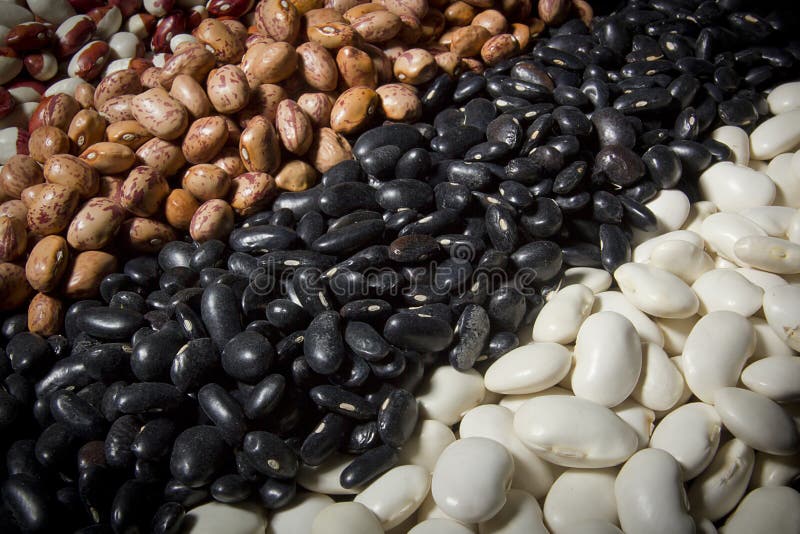 Mix of Different Varieties of Beans Stock Photo - Image of seed ...