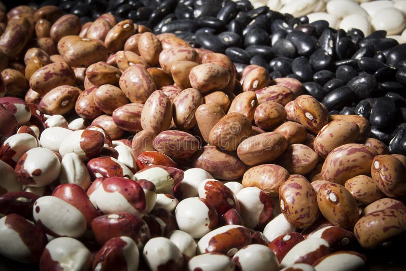 Mix of Different Varieties of Beans Stock Image - Image of agriculture ...