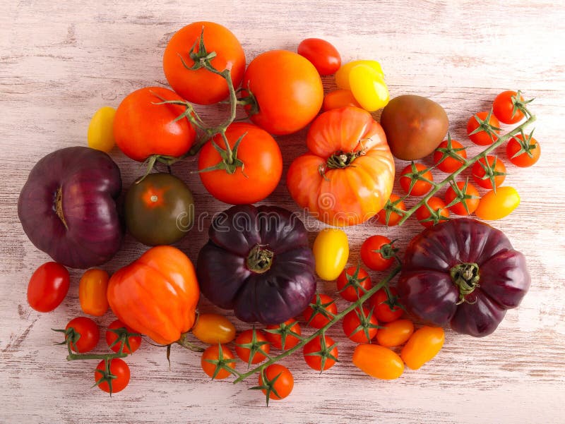 Mix of Different Sorts of Tomatoes Stock Image - Image of vegetable ...