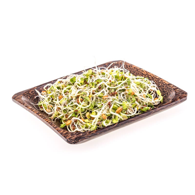 Mix of sprouts stock image. Image of vegetable, cooking - 16698891
