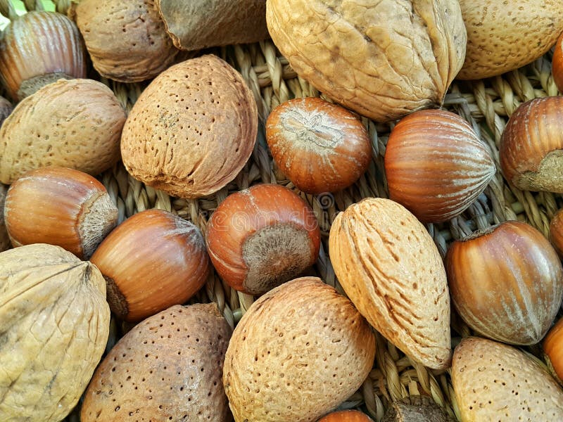Mix of Different Types Nuts Stock Photo - Image of delicious, macro ...