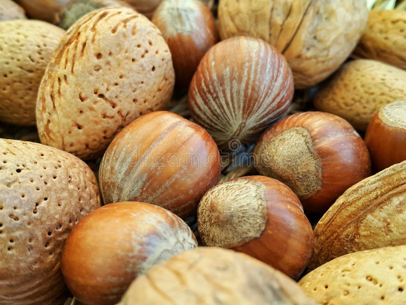Mix of Different Types Nuts Stock Image - Image of almond, close: 148695995