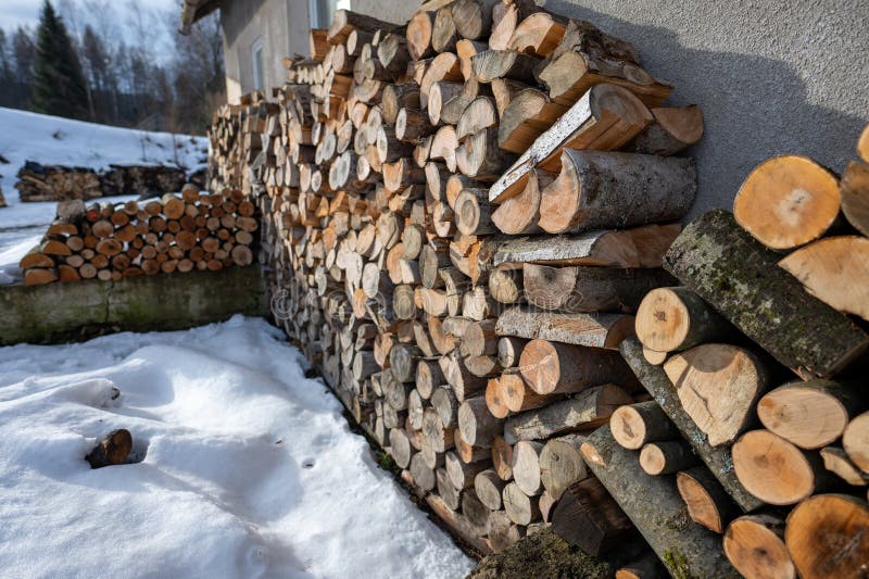 A Mix of Different Types of Wood. Firewood Folded To Dry in the Yard ...