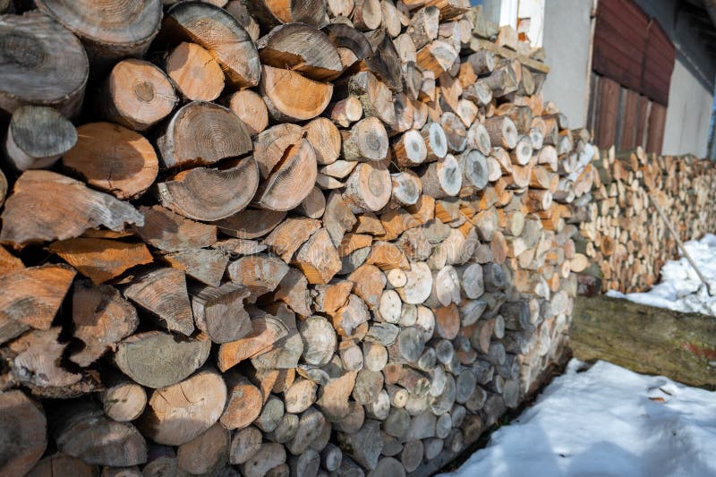 A Mix of Different Types of Wood. Firewood Folded To Dry in the Yard ...