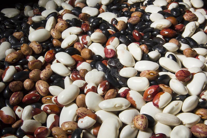Mix of Different Varieties of Beans Stock Image - Image of natural ...