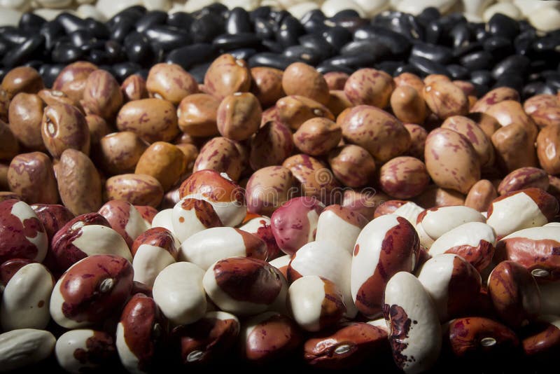 Mix of Different Varieties of Beans Stock Photo - Image of natural ...