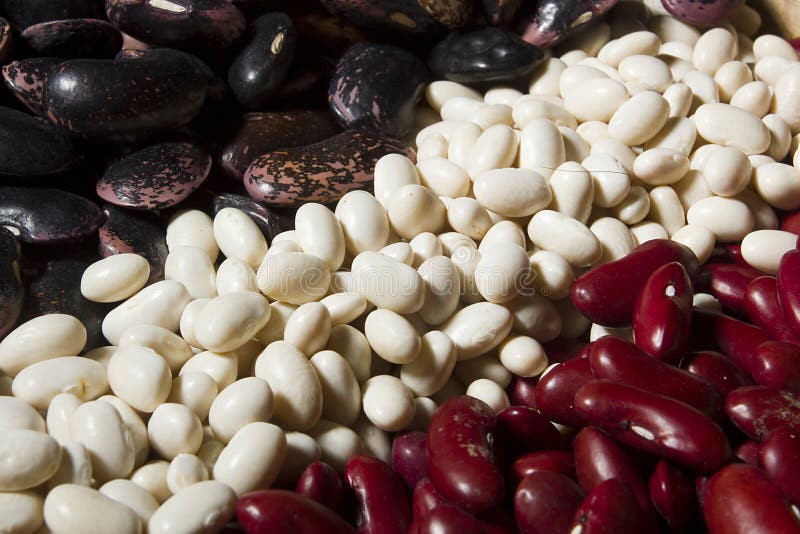 Mix of Different Varieties of Beans Stock Photo - Image of variety ...