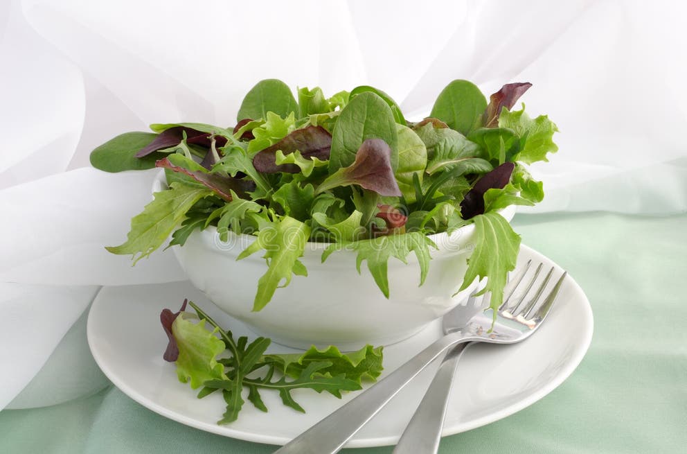 Mix of Different Varieties of Lettuce Stock Photo - Image of balance ...