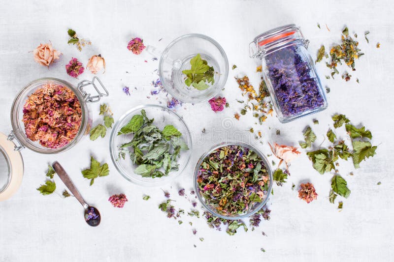 Mix of Dry Healthy Herbs on the Light Grey Table Stock Image - Image of ...