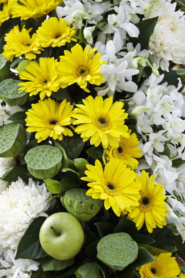 Mix flower stock image. Image of lotus, natural, plant - 14451617