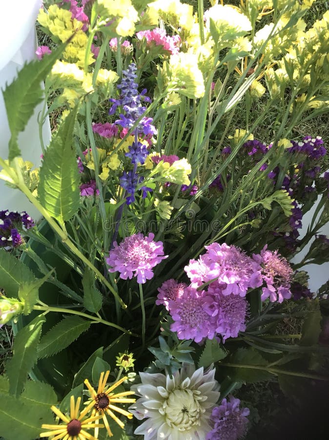 Flowers Mix Stock Photos - Download 15,774 Royalty Free Photos