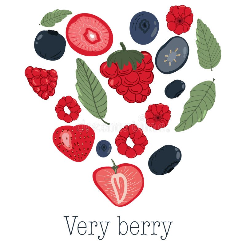 Mix of Forest Berries with Mint Leaves in a Heart Shape Stock Vector ...