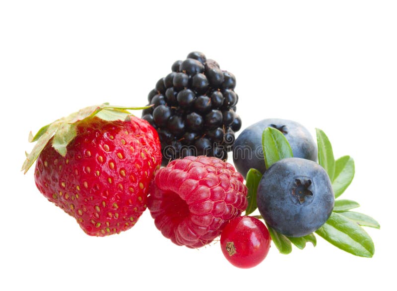 Assorted fresh berries stock image. Image of colourful - 10982373