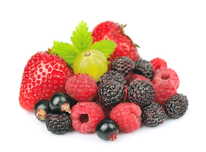 Mix of fresh berry stock photo. Image of herb, gooseberry - 25591580